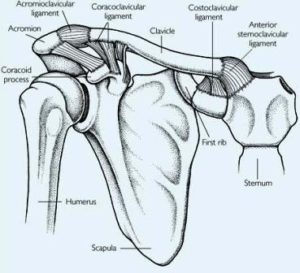 Shoulder Acromioclavicular Joint Degeneration, A/C Joint, ACJ